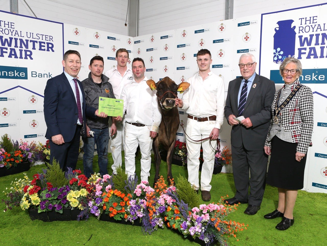 Winter Fair Gallery | gallery | Royal Ulster Agricultural Society
