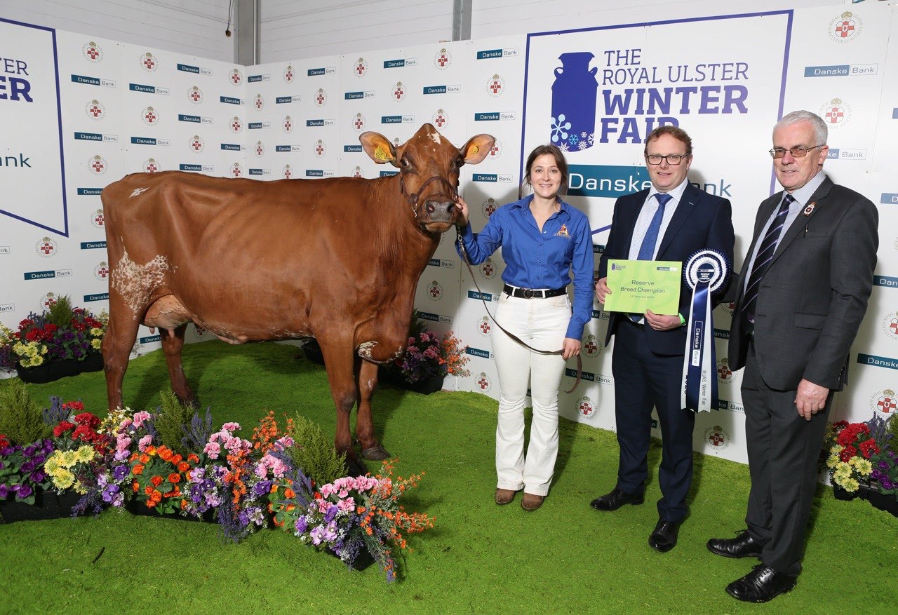 Winter Fair Gallery | gallery | Royal Ulster Agricultural Society