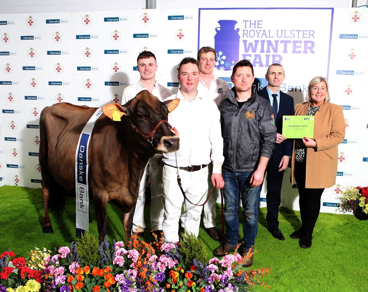Winter Fair Gallery | gallery | Royal Ulster Agricultural Society